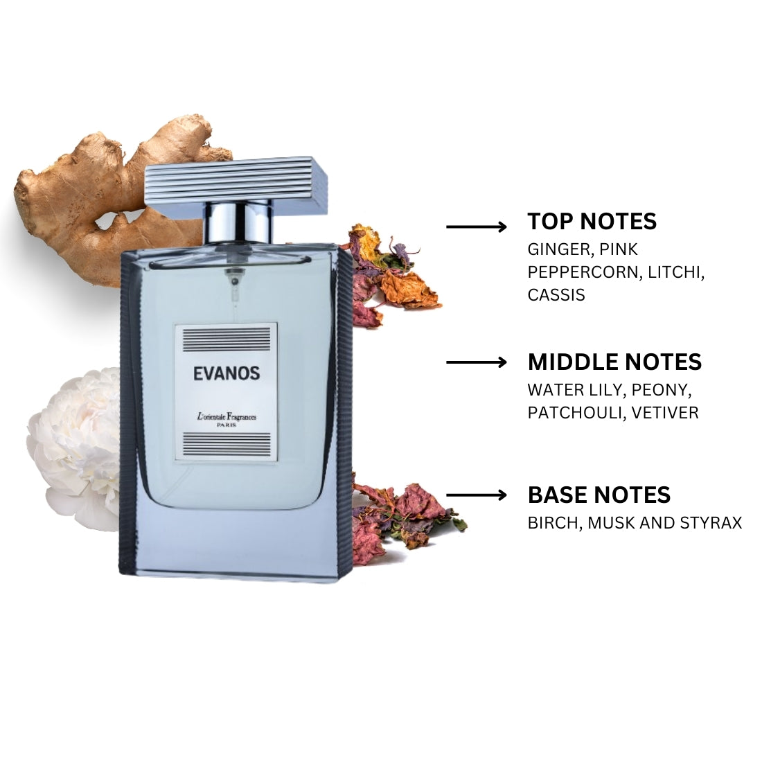 Evanos For Men By Lorientale Fragrances Eau De Parfum Spray 3.3 oz ...